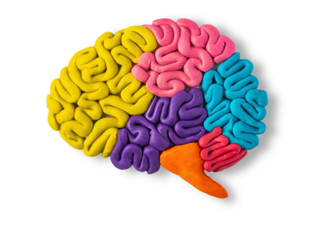 Healthy Kids/Happy Moms